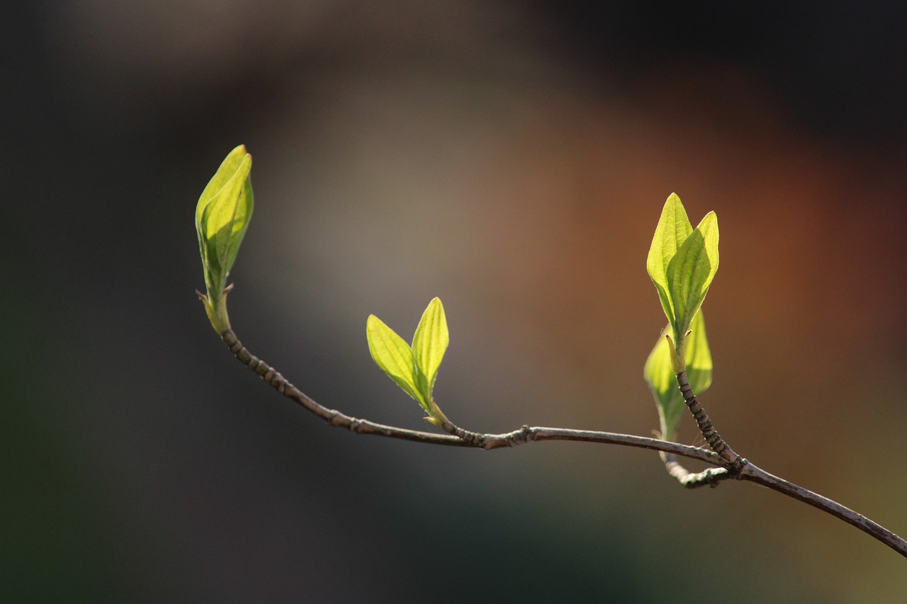 Learn, Grow and Change- Today's Career Mantra | Career Sherpa